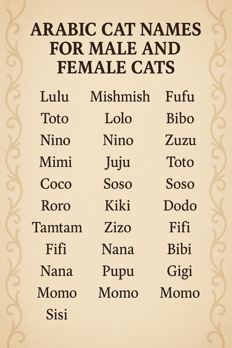 1000+ Stunning Arabic Cat Names for Male and Female Cats